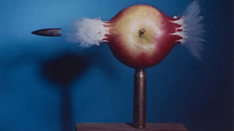 Photography through Time - Dayton Art Institute